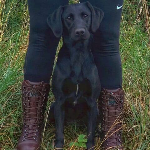 Kirkbourne National Gundog Team Challenge | Blog Brandecosse